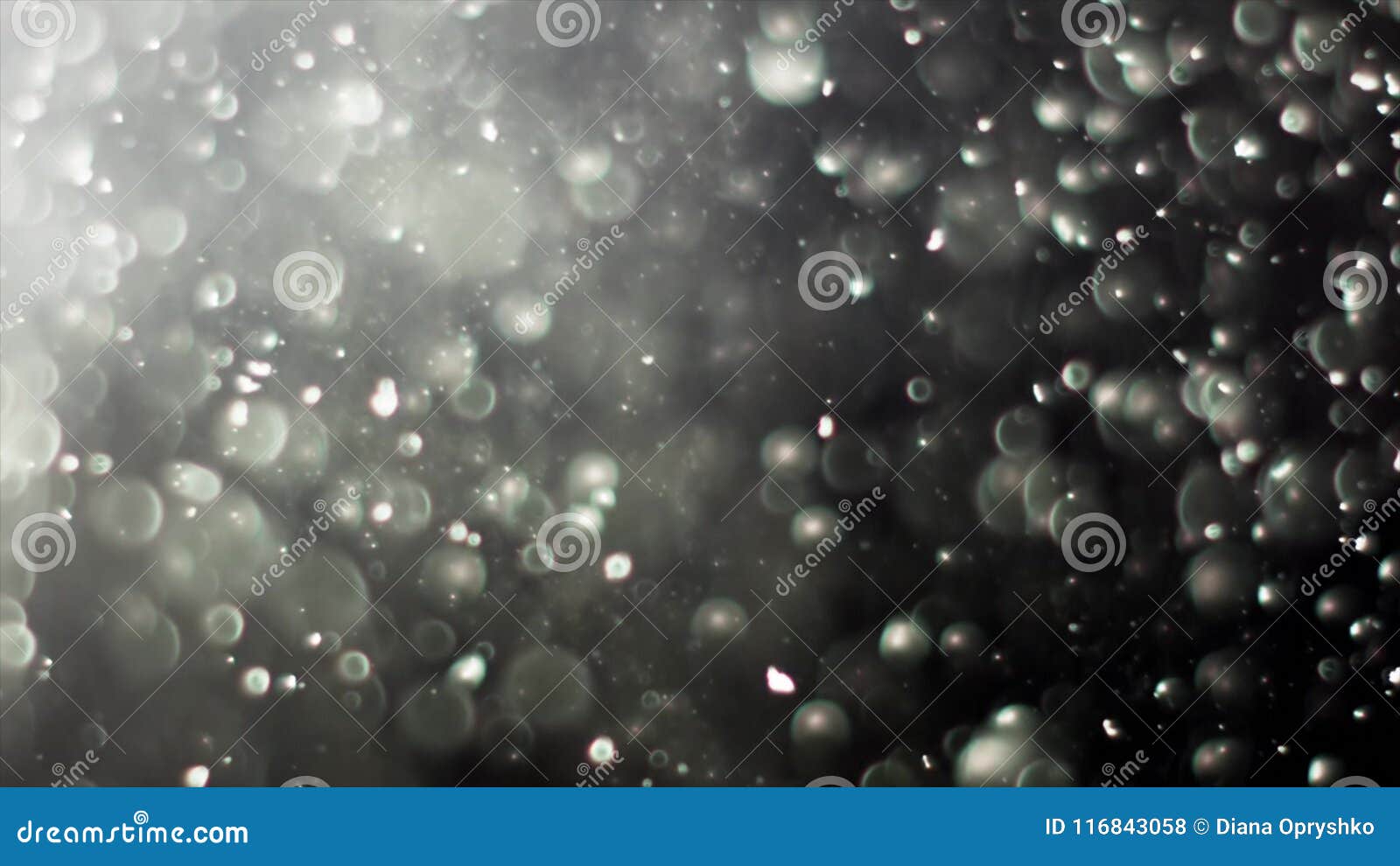 Real Backlit Dust Particles with Real Lens Flare Stock Photo - Image of ...