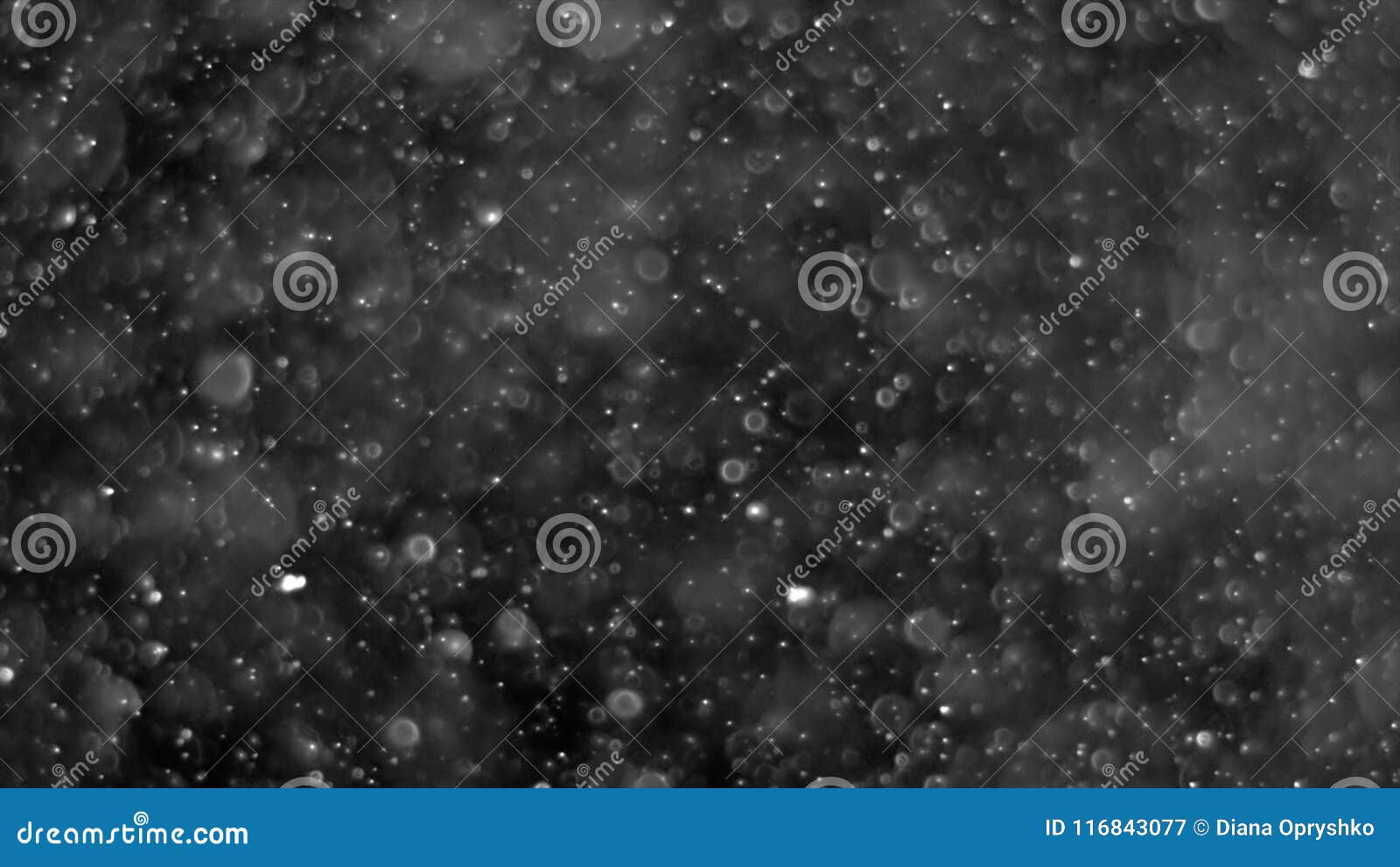 Real Backlit Dust Particles With Real Lens Flare Stock Photography ...