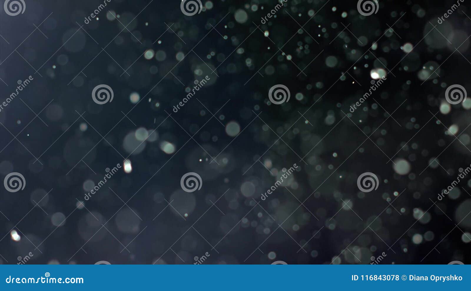 Real Backlit Dust Particles With Real Lens Flare Royalty-Free Stock ...