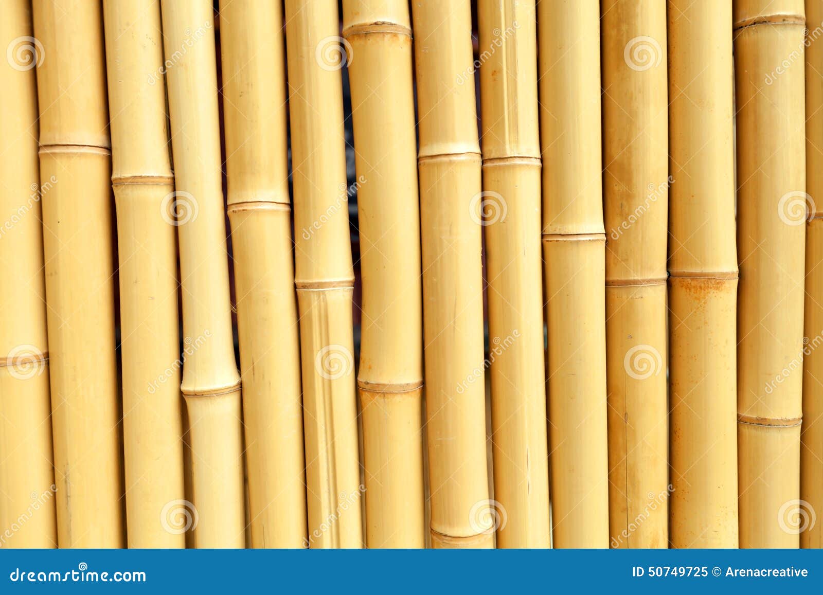 Real Bamboo Background Texture Stock Image - Image of bamboo, round ...