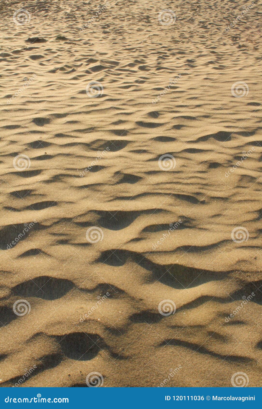 Real beach sand texture stock photo. Image of beach - 120111036