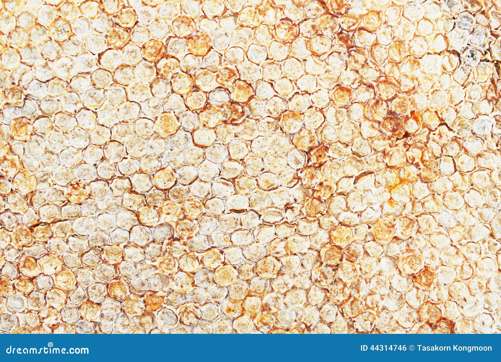 Real beehive for pattern stock photo. Image of blue, beehive - 44314746