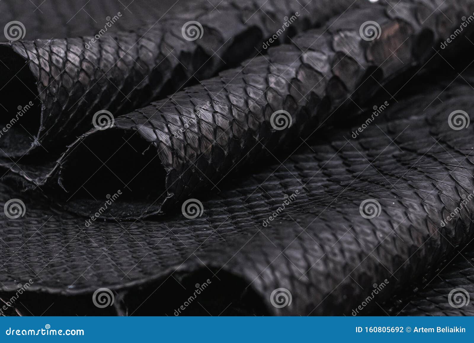 Real Black Snakeskin Python Leather. Stock Photo - Image of design ...