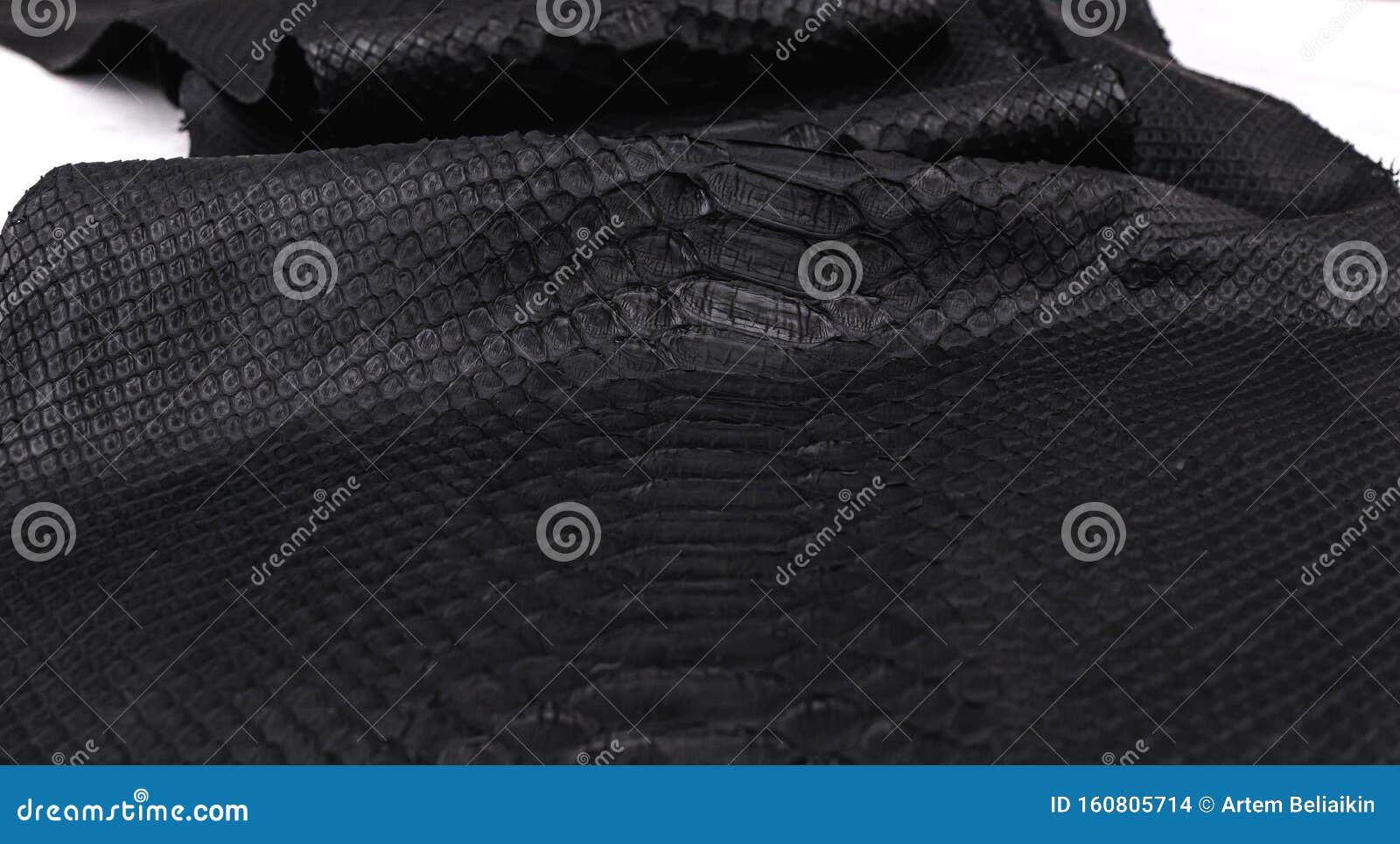 Real Black Snakeskin Python Leather. Stock Photo - Image of leather ...