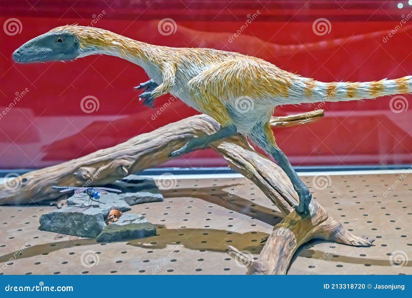 Dinosaur Specimen in Real Body Editorial Image - Image of rock ...