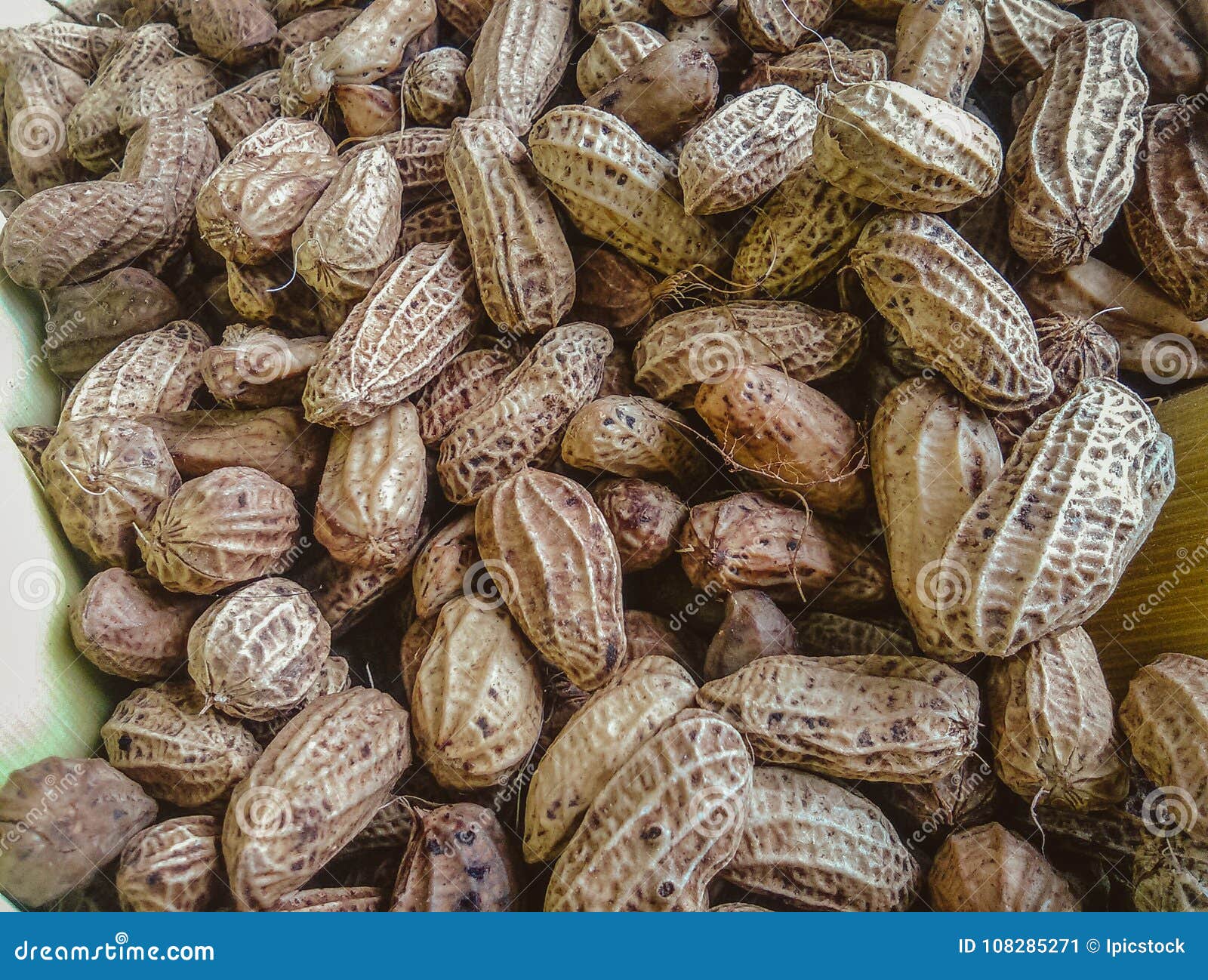 Real Boiled Peanut 001 stock image. Image of food, nice - 108285271