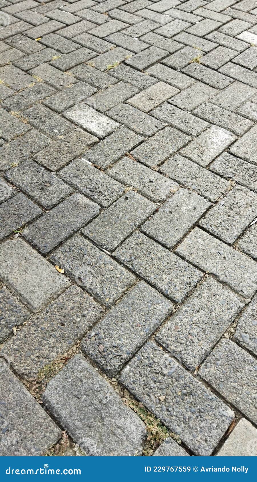 Real Bricks Texture stock image. Image of texture, nature - 229767559