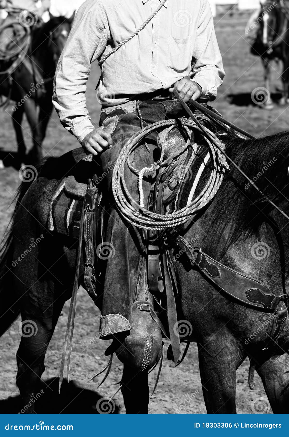 Real Cowboys Riding (black and White) Stock Photo - Image of ride ...