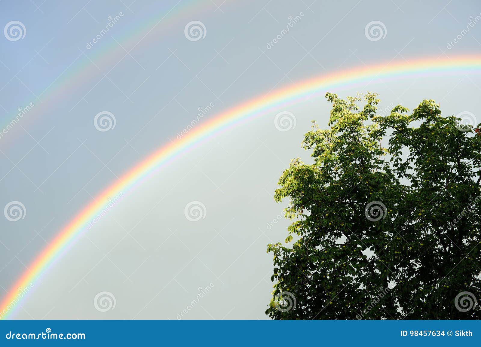 Real Double Rainbow with Tree Stock Photo - Image of abstract, light ...
