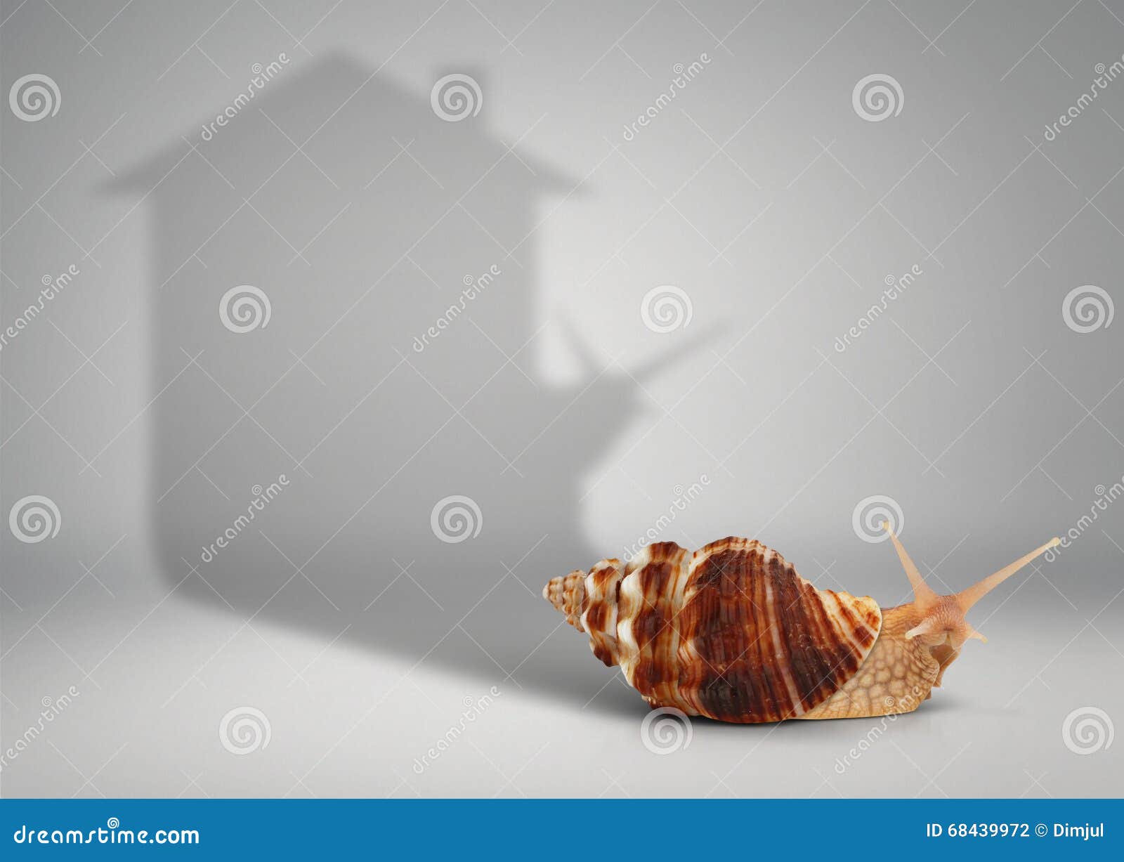 Real Estate Concept, Snail with Shadow House Stock Photo - Image of ...