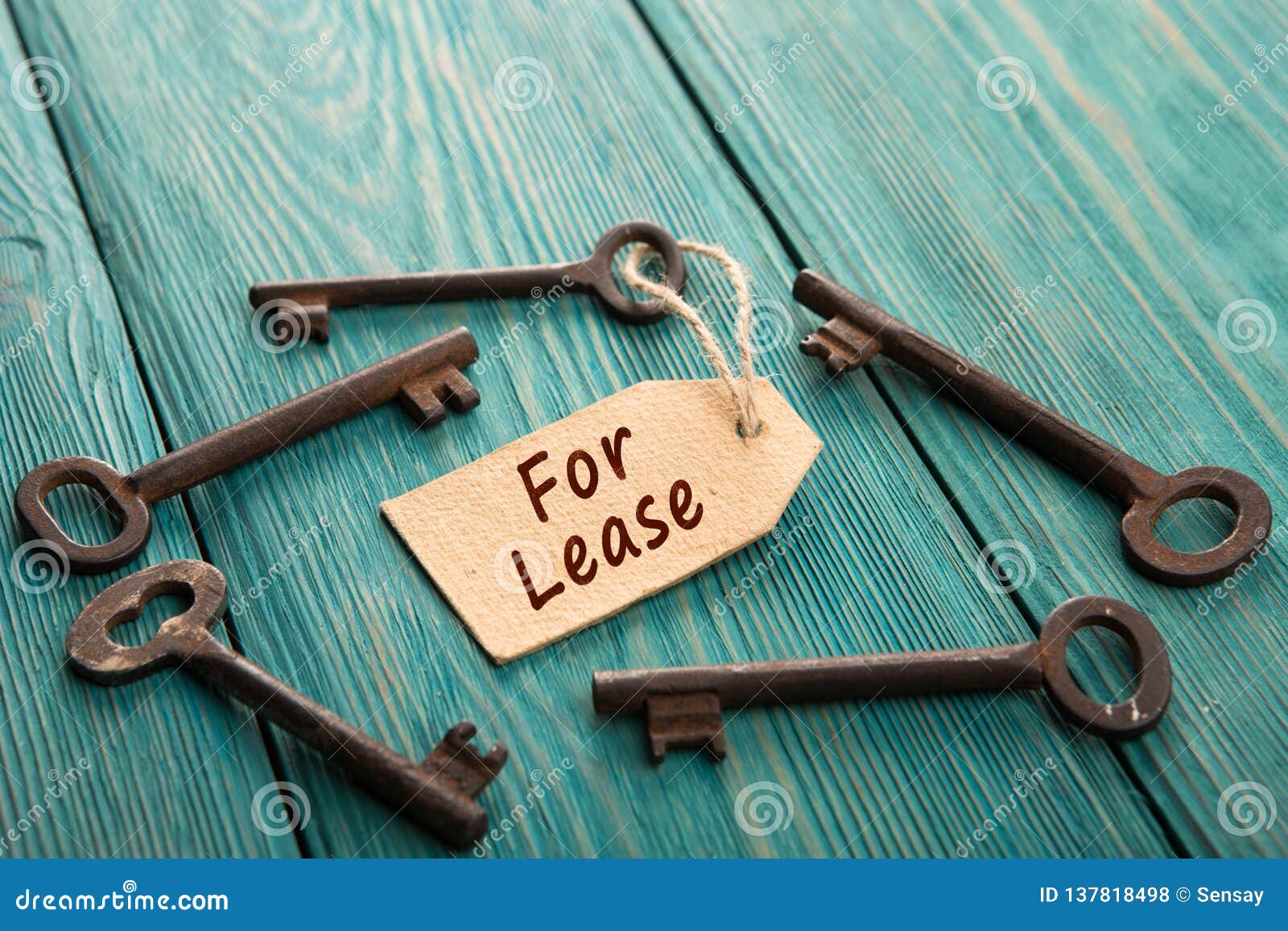 Real estate lease concept stock photo. Image of business - 137818498