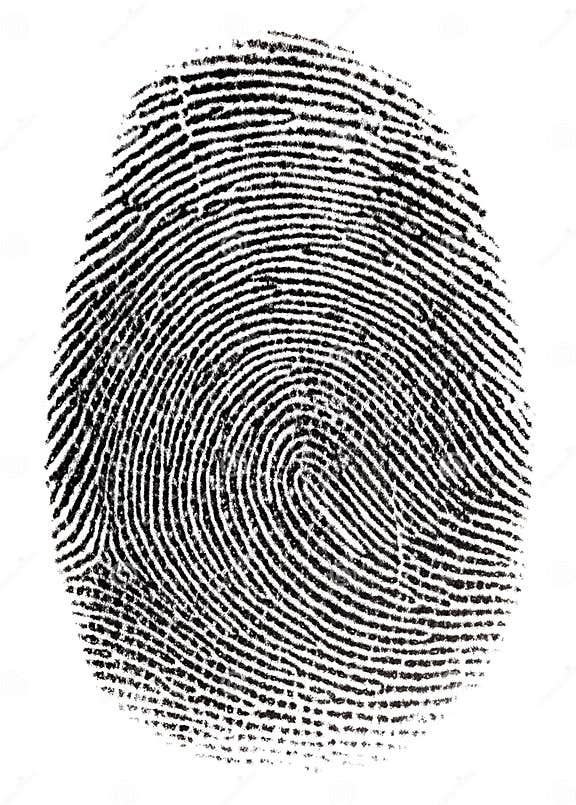 Real fingerprint stock photo. Image of finger, allegory - 25787622