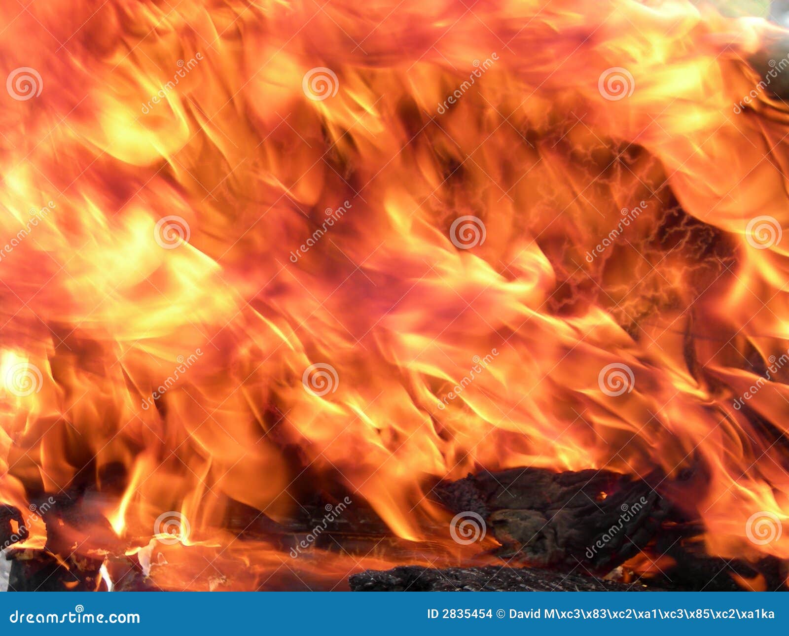 Real fire stock photo. Image of burning, texture, fire - 2835454