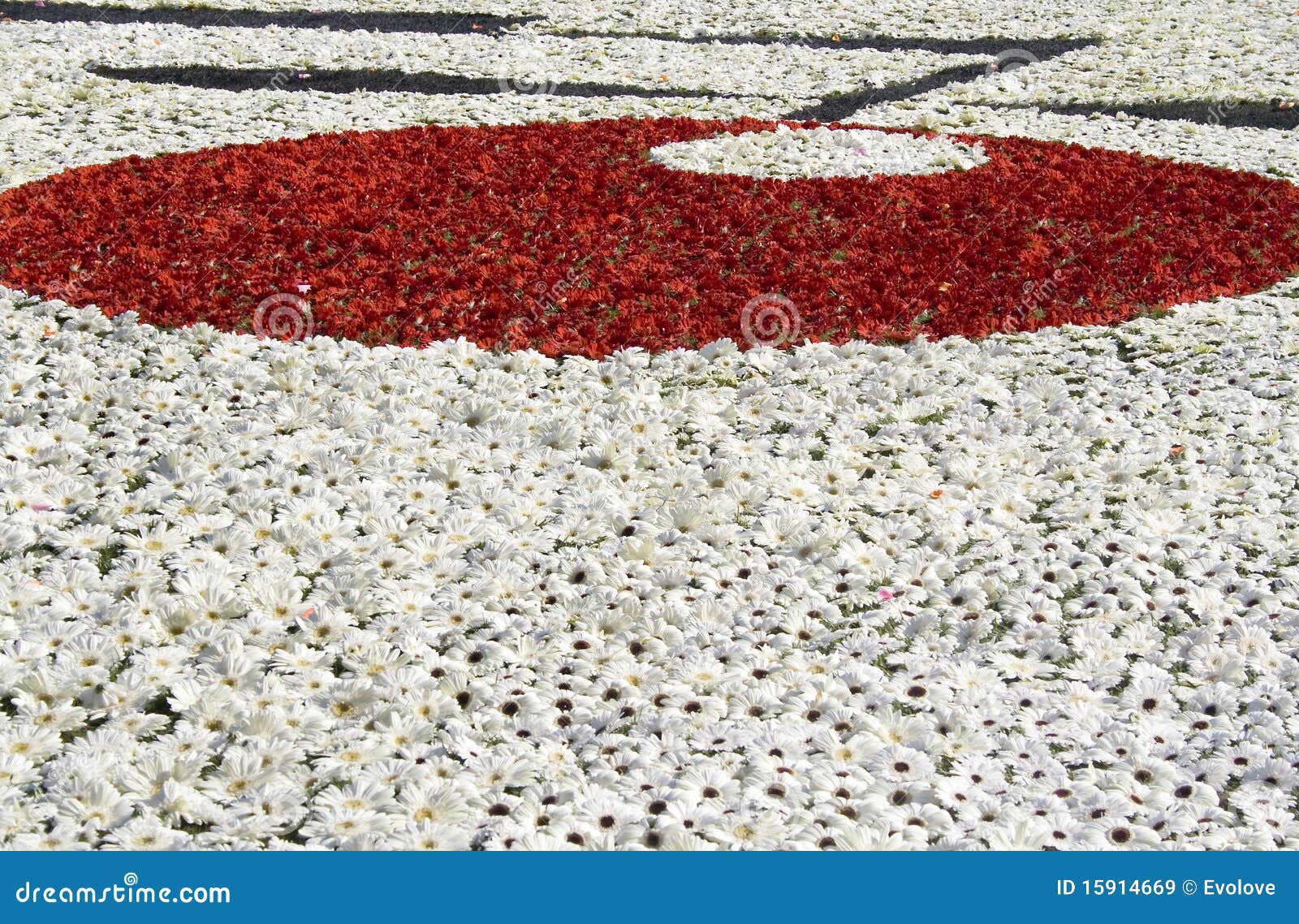 Real Flower pattern stock image. Image of floor, shape - 15914669
