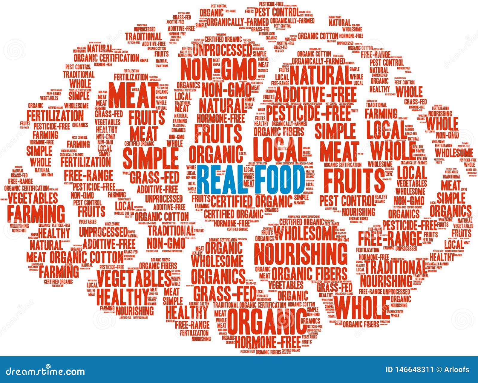 Real Food Word Cloud stock vector. Illustration of wholesome - 146648311