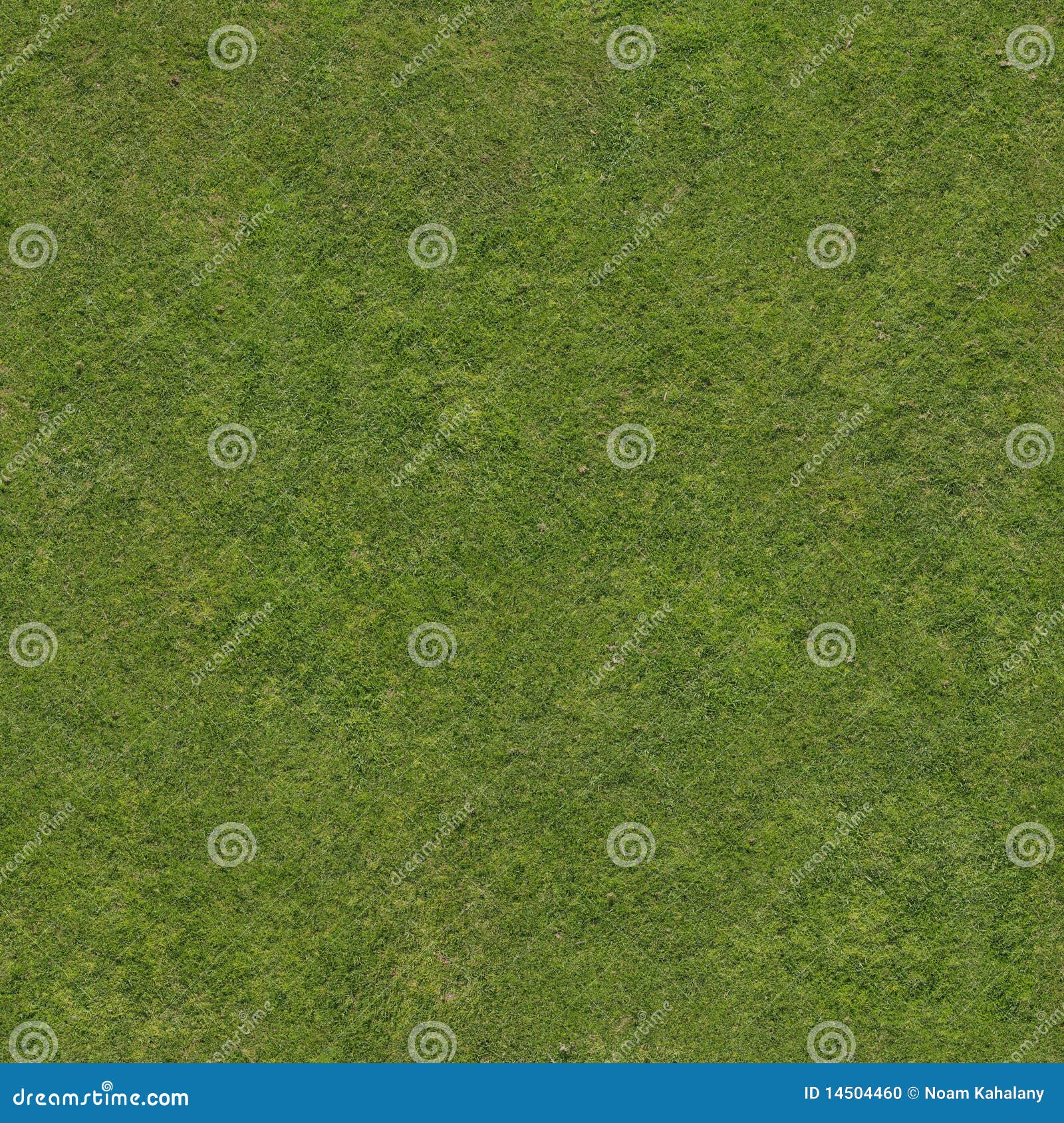 Real Grass stock photo. Image of texture, green, plant - 14504460
