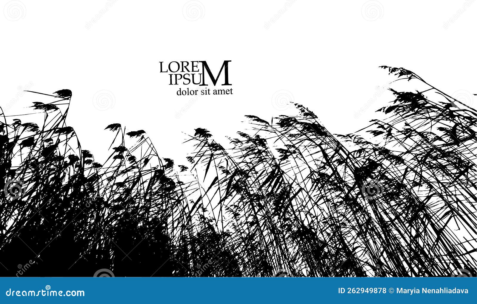 Real Grass Silhouette. Reeds Silhouette Tracing. Vector Illustration ...