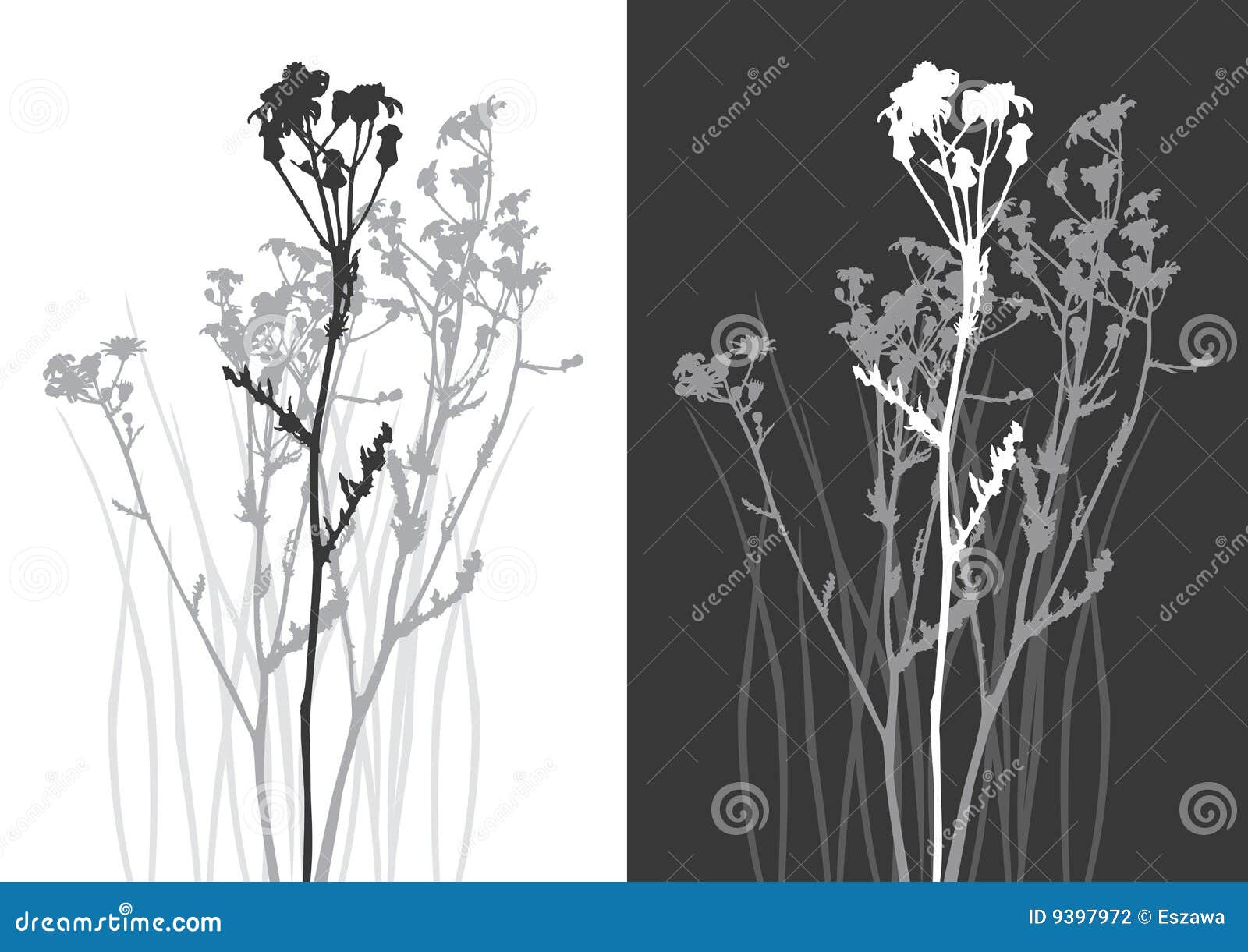 Real Grass Silhouette - Vector Illustration - Two Colors ...