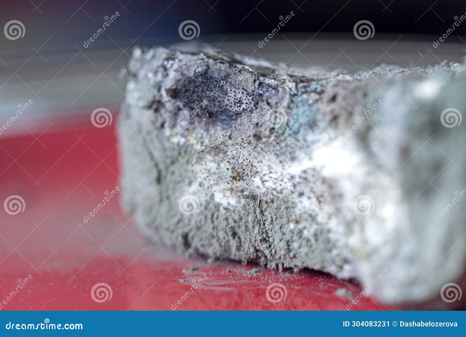 Real Gray-blue Mold on Bread Stock Image - Image of decay, micro: 304083231