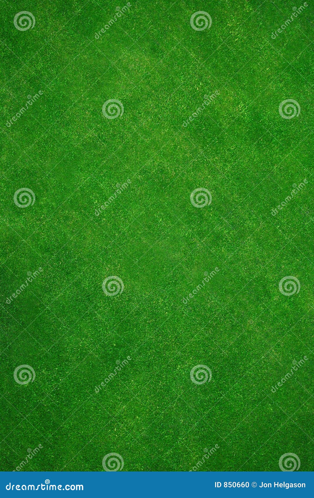 Real green grass stock photo. Image of flat, dirt, golf - 850660
