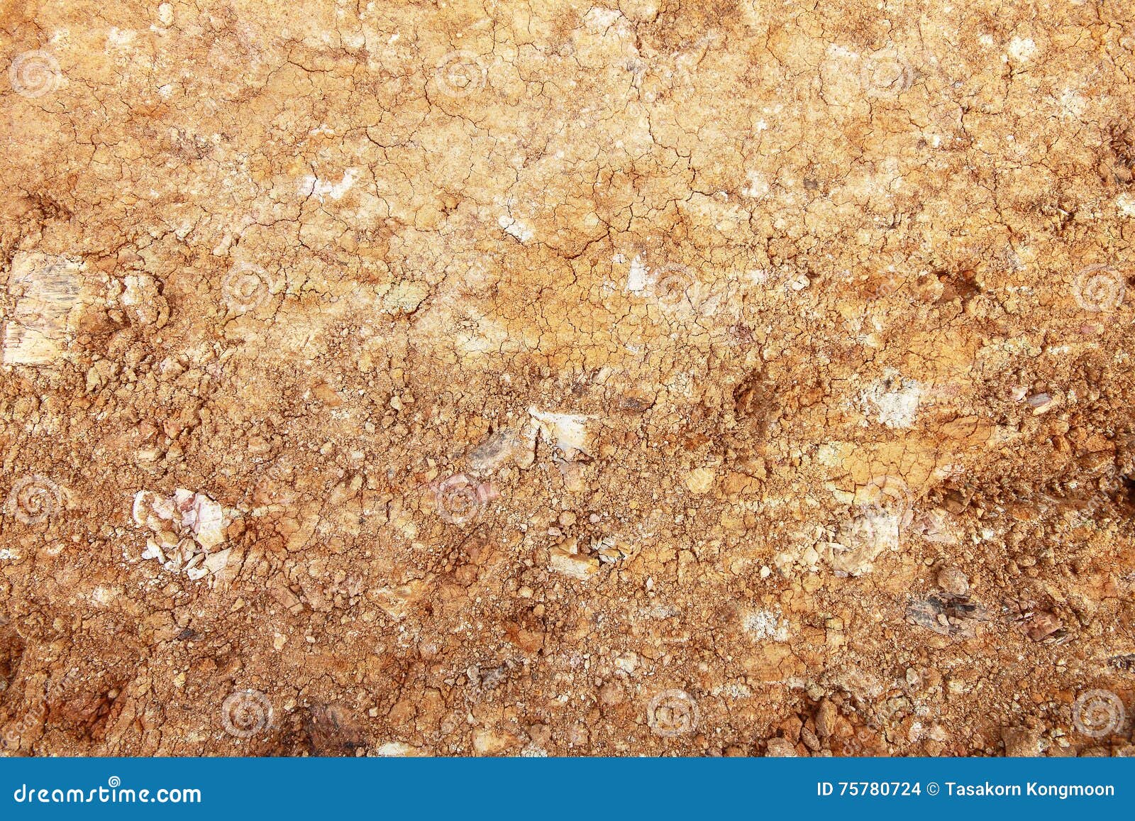 Real Ground Texture for Pattern and Background Stock Photo - Image of ...