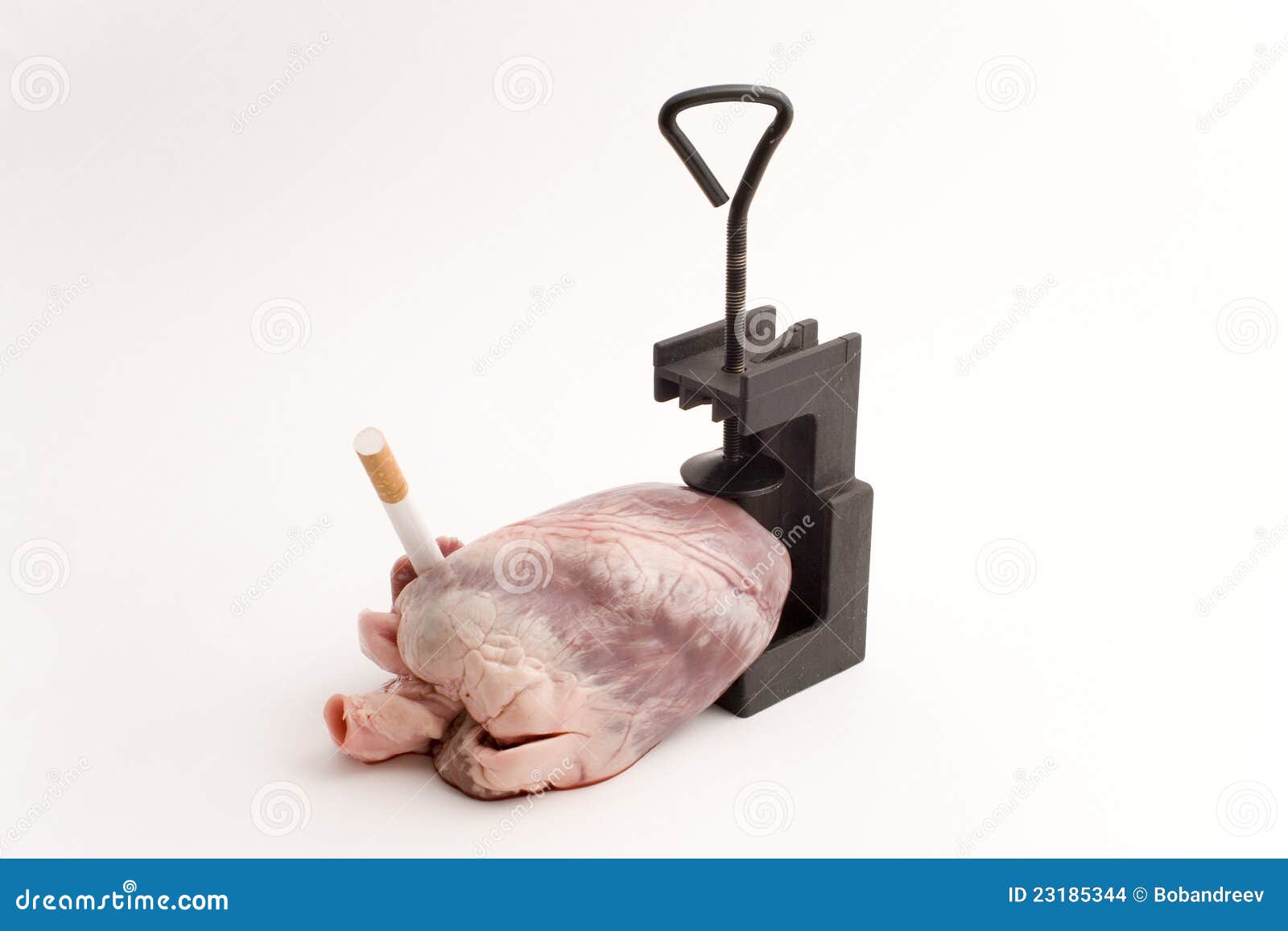 Real heart and damage stock photo. Image of clamp, meat - 23185344