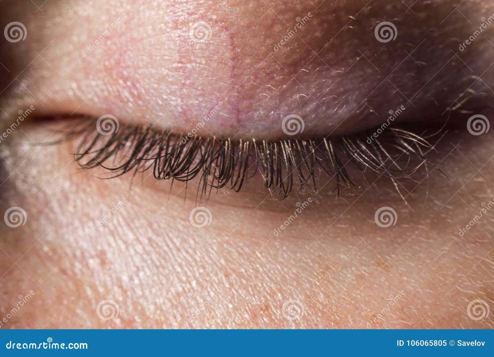 A Real Human Closed Eye with Eyelashes without Make-up and Retouching ...