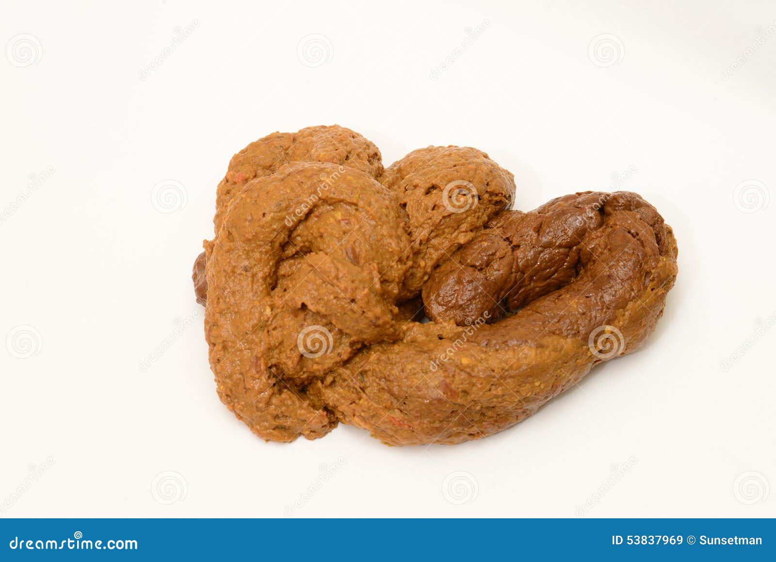 Real Human Feces stock image. Image of real, dung, closeup - 53837969