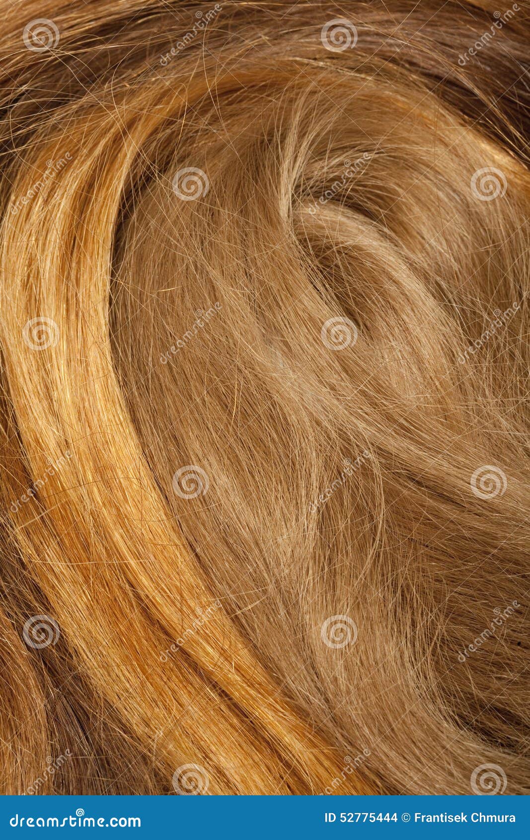 Real Human Hair stock photo. Image of beauty, human, used - 52775444