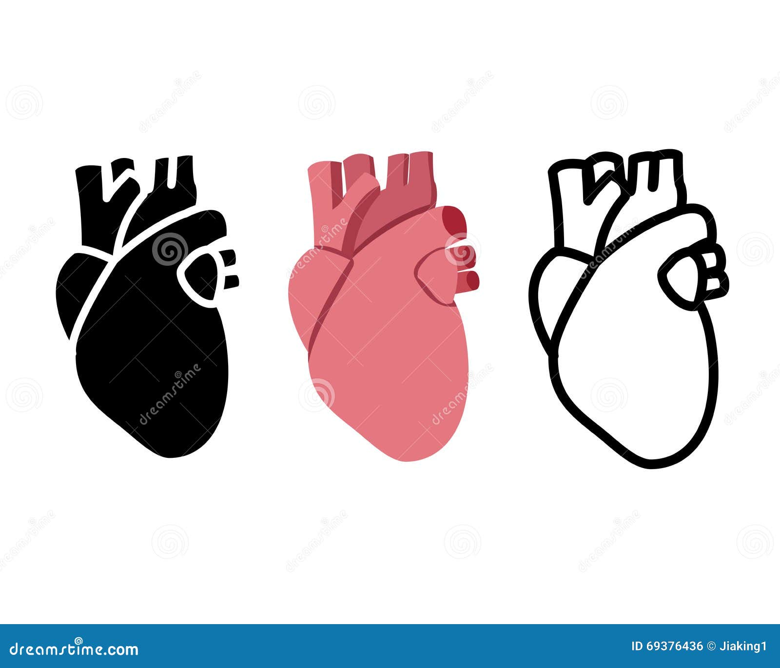 Real Human Heart in Flat Style, Vector Stock Vector - Illustration of ...