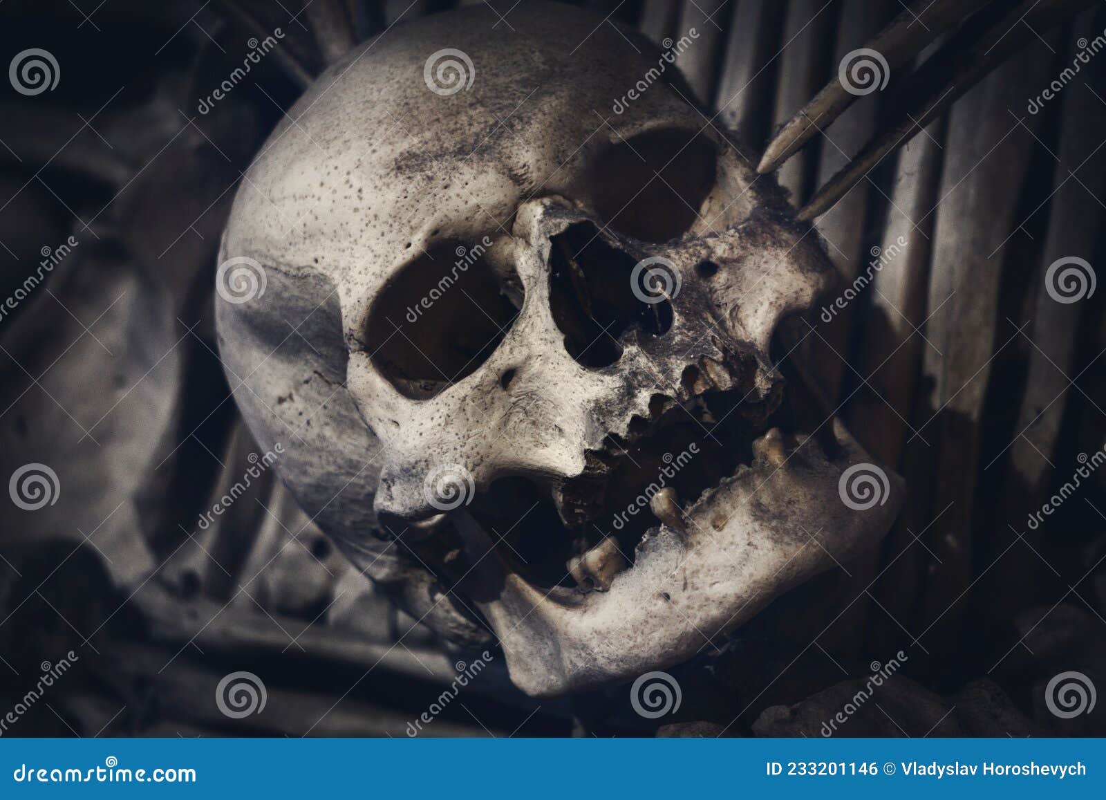 The Real Human Skull. Bones. Death Man Stock Photo - Image of dramatic ...