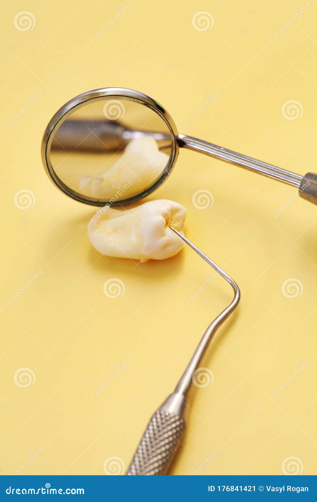 Real Human Wisdom Tooth and Dental Mirror Stock Image - Image of ...