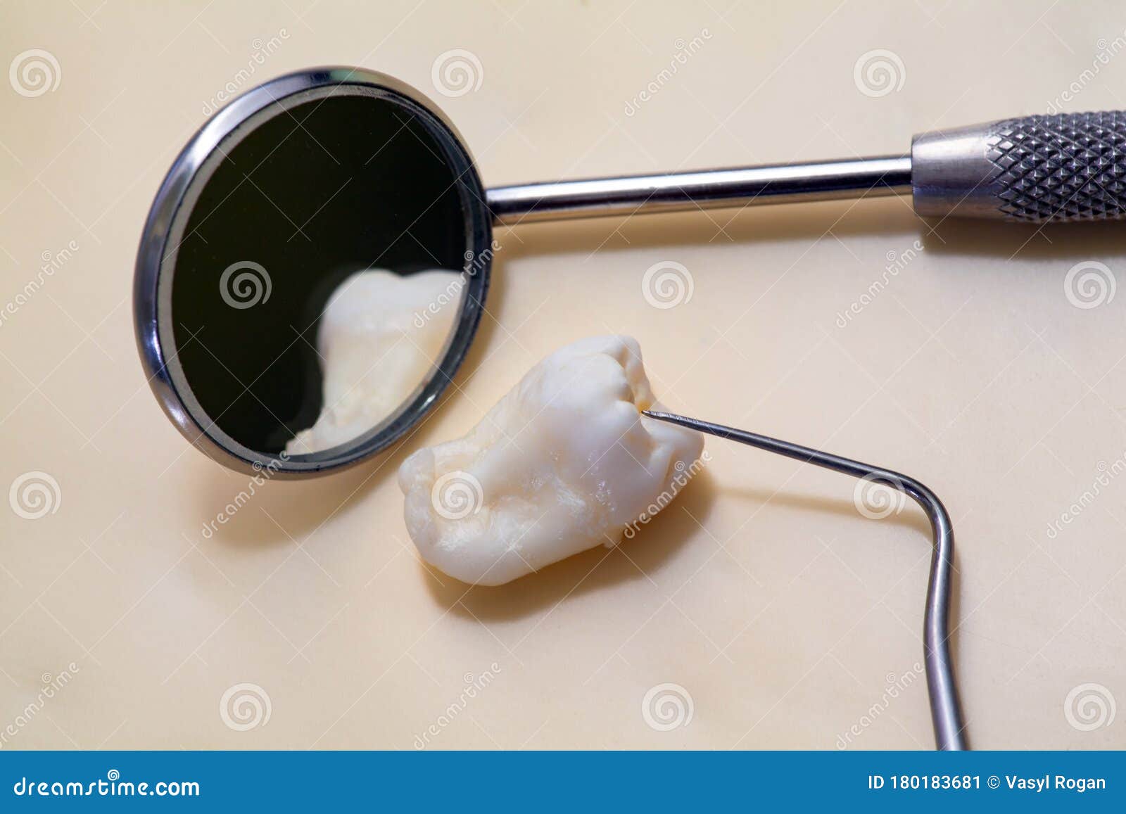 Real Human Wisdom Tooth and Dental Mirror Stock Image - Image of dental ...