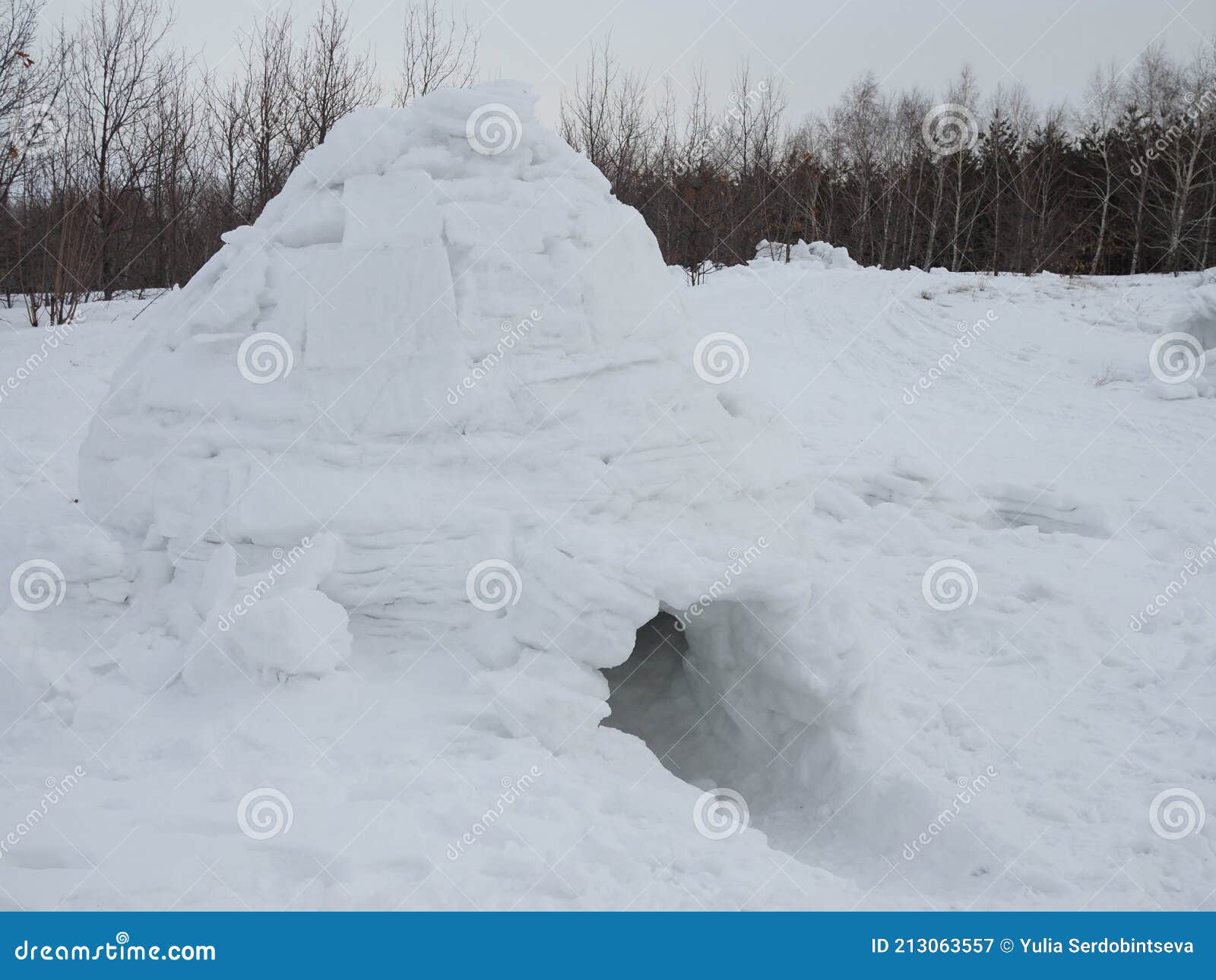 Real Igloo on the Snow in the Forest, Winter Cloudy Day Stock Image ...