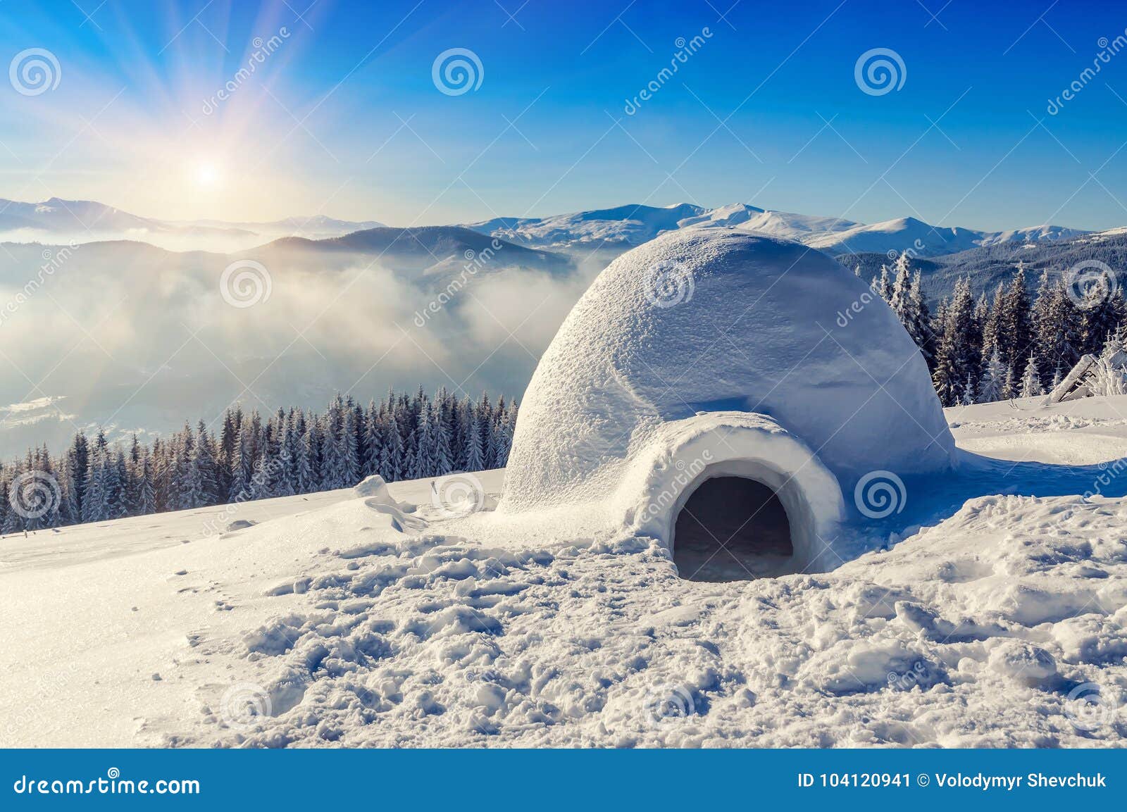 Authentic Igloo