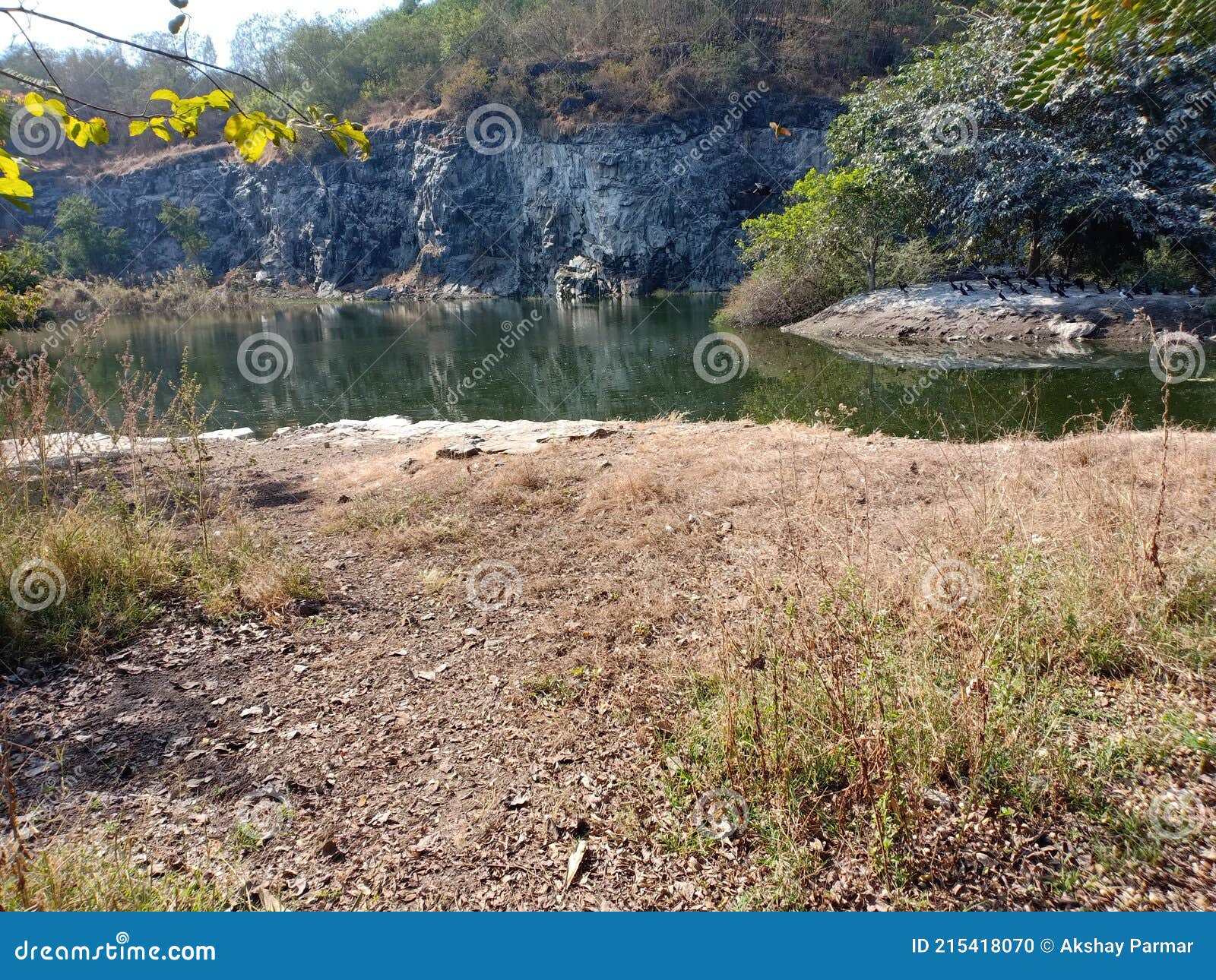 Real indian Nuture Wild stock photo. Image of park, water - 215418070