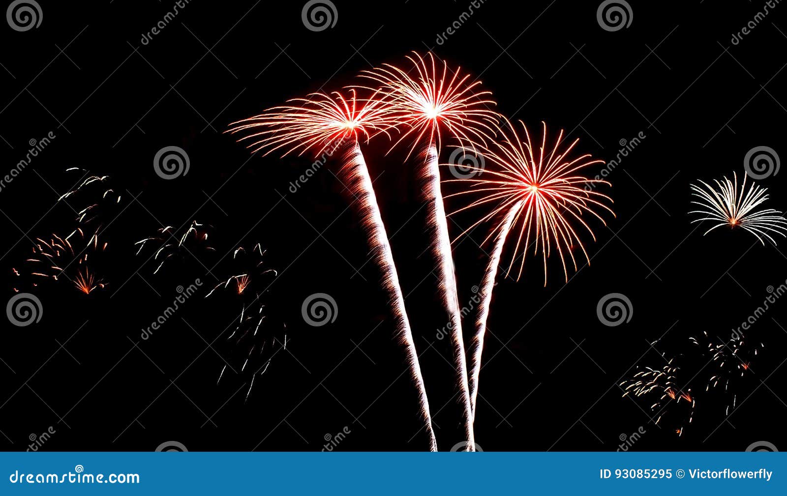 Real Isolated Fireworks, Coconut Trees or Flowers Pattern Stock Image ...