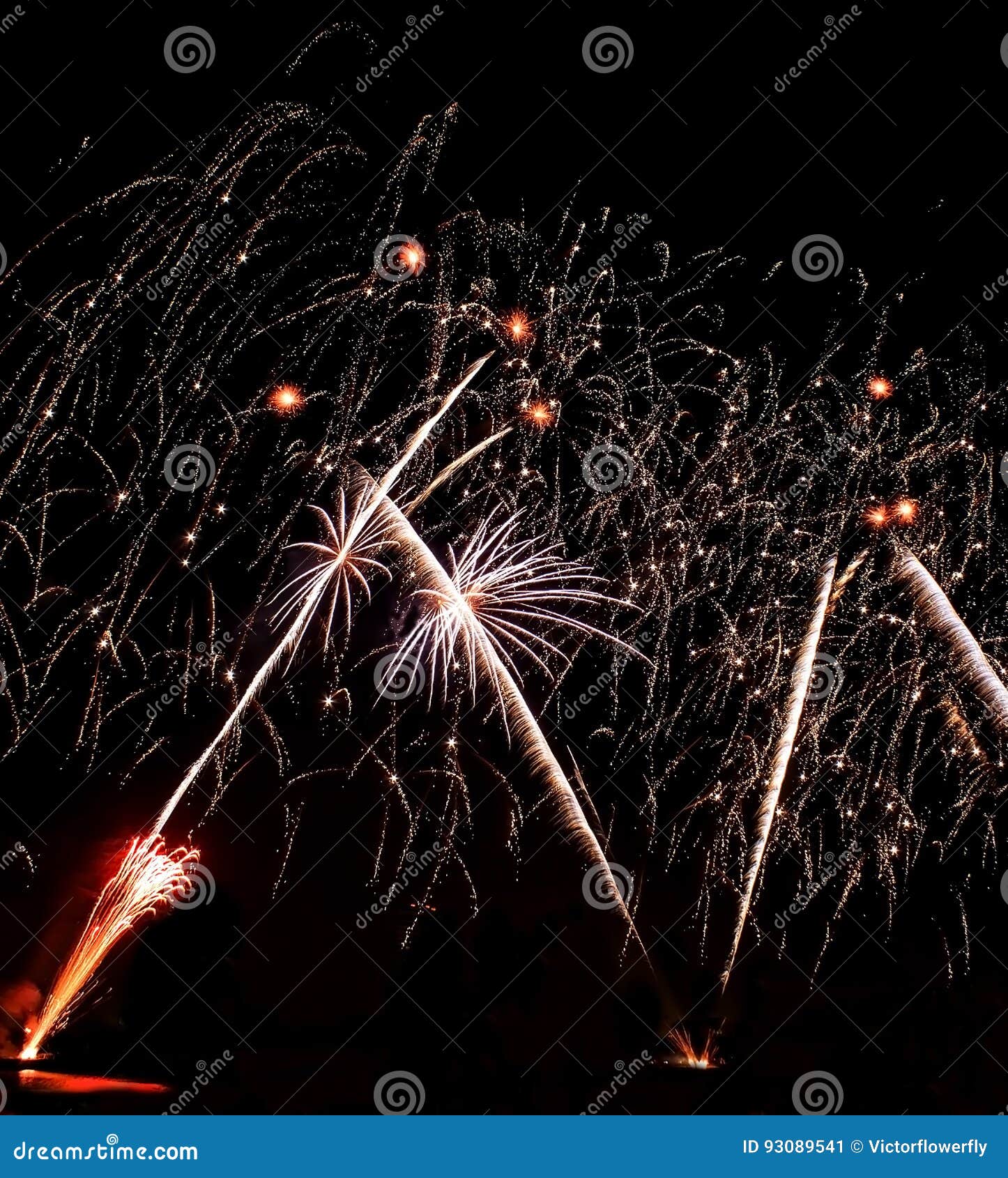 Real Isolated Fireworks, Coconut Trees Forest Pattern Stock Image ...