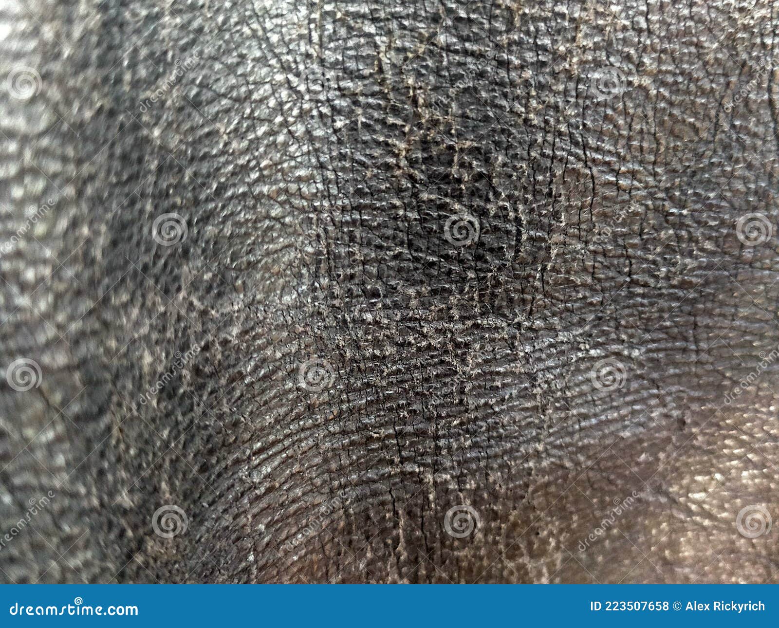 Real Leather Texture in Black Colour for Background Stock Photo - Image ...