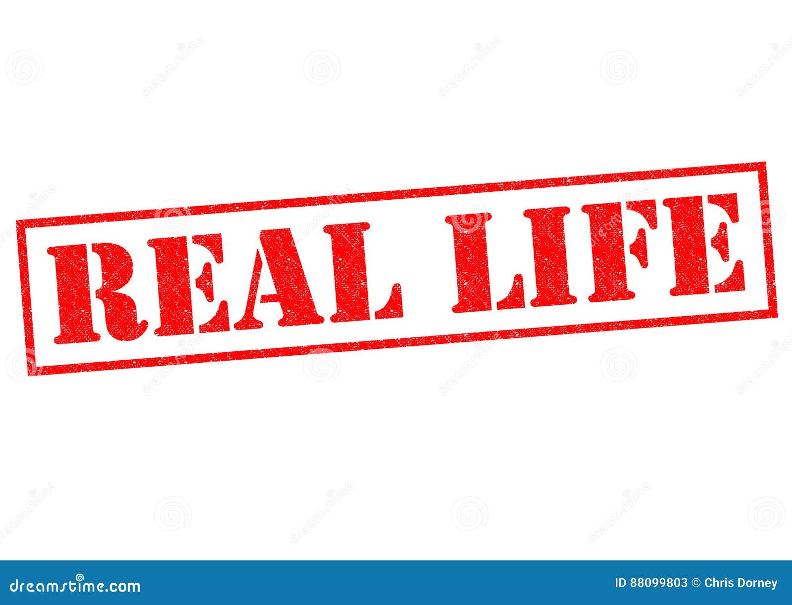Real Life Vs Social Media Stock Illustration | CartoonDealer.com #163480381