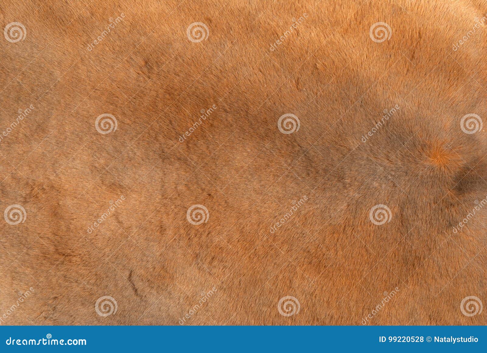 Kangaroo Fur Texture Background Stock Photo - Image of pattern, texture ...