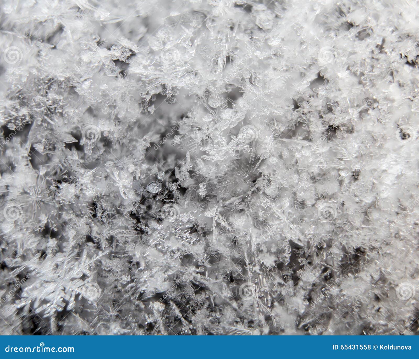 Real macro snowflakes stock photo. Image of freeze, shiny - 65431558