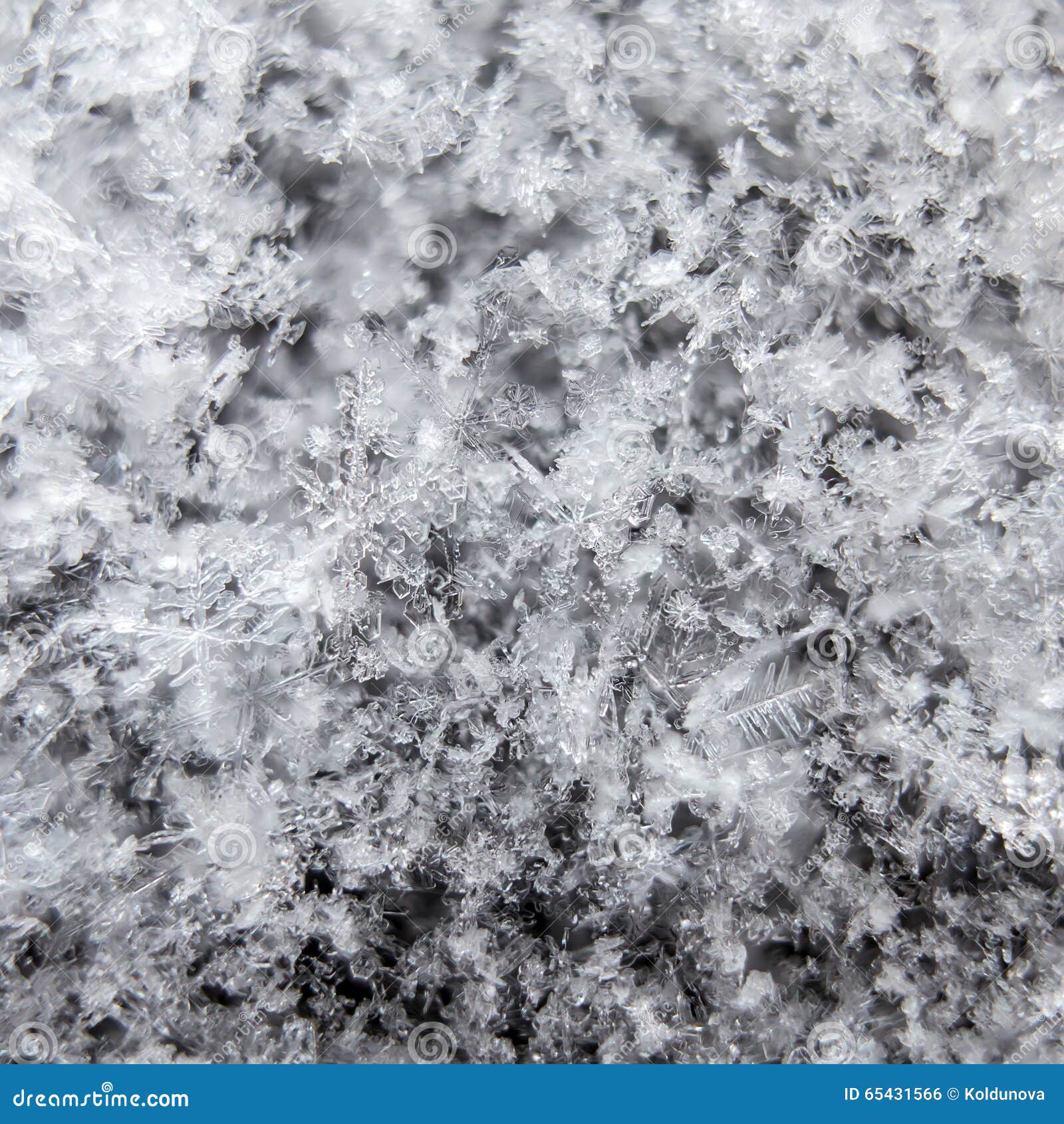 Real macro snowflakes stock photo. Image of crystals - 65431566
