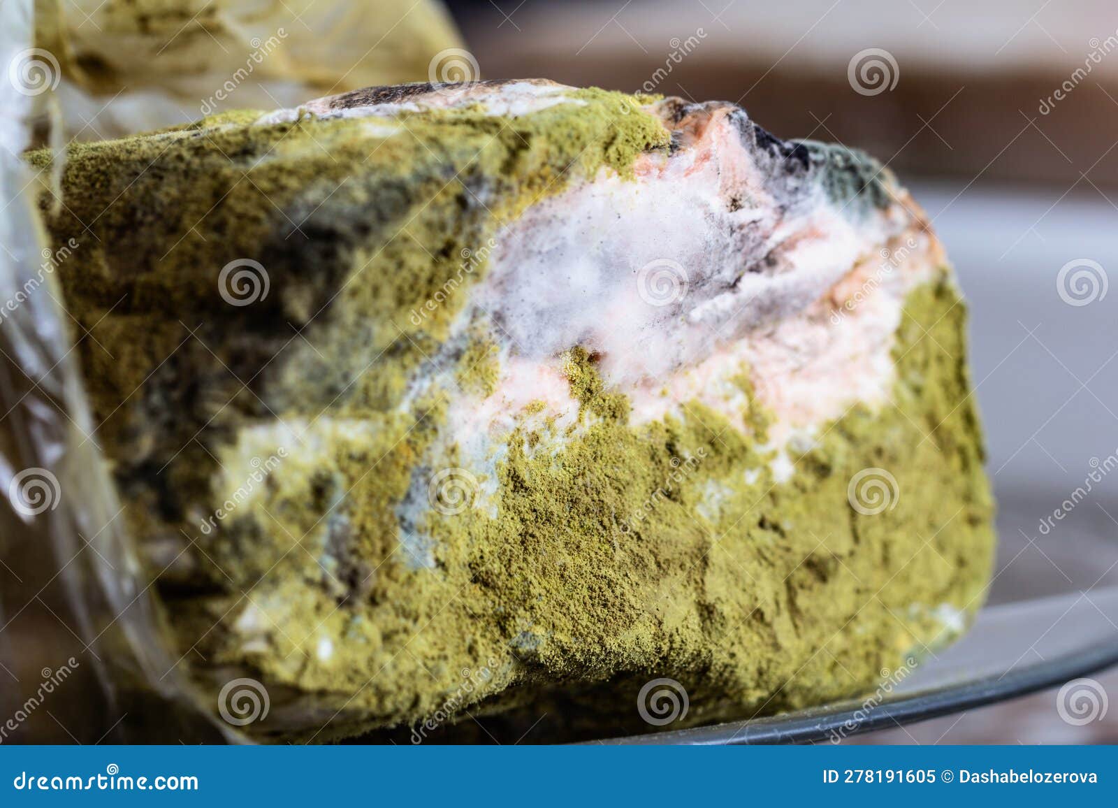 Real Multicolored Mold on Bread Stock Image - Image of microorganism ...