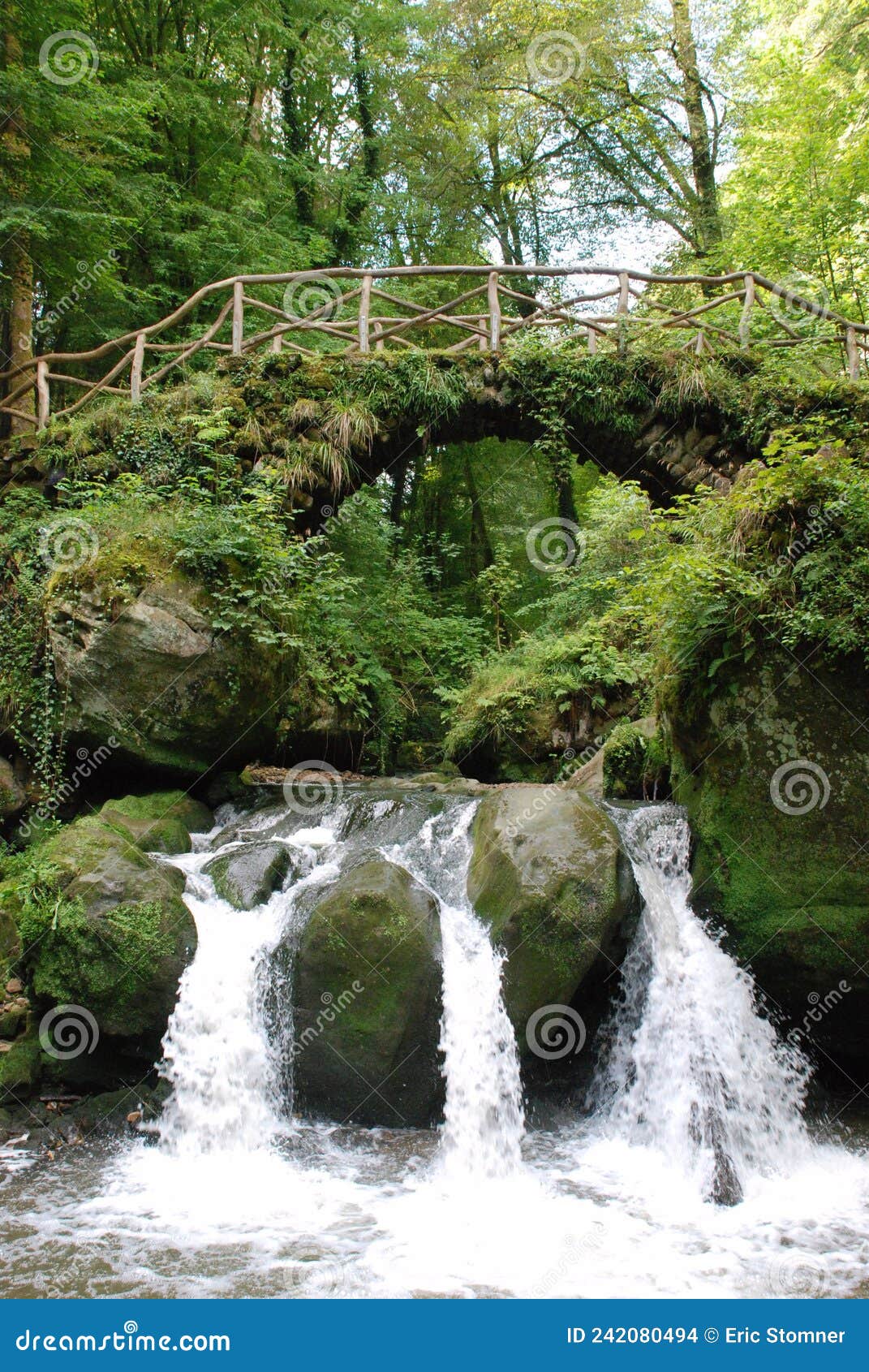 Real Mystical Forest stock photo. Image of forest, rapid - 242080494