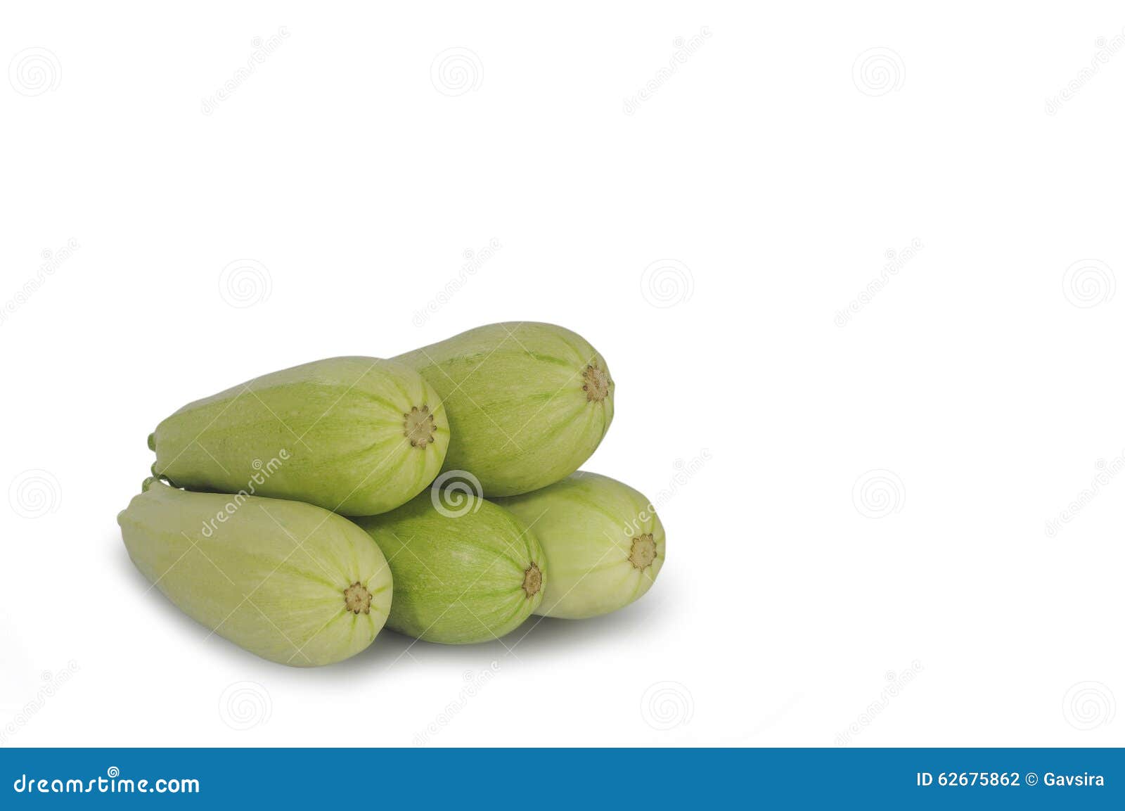 Real Natural Marrows Isolated on White Stock Photo - Image of green ...