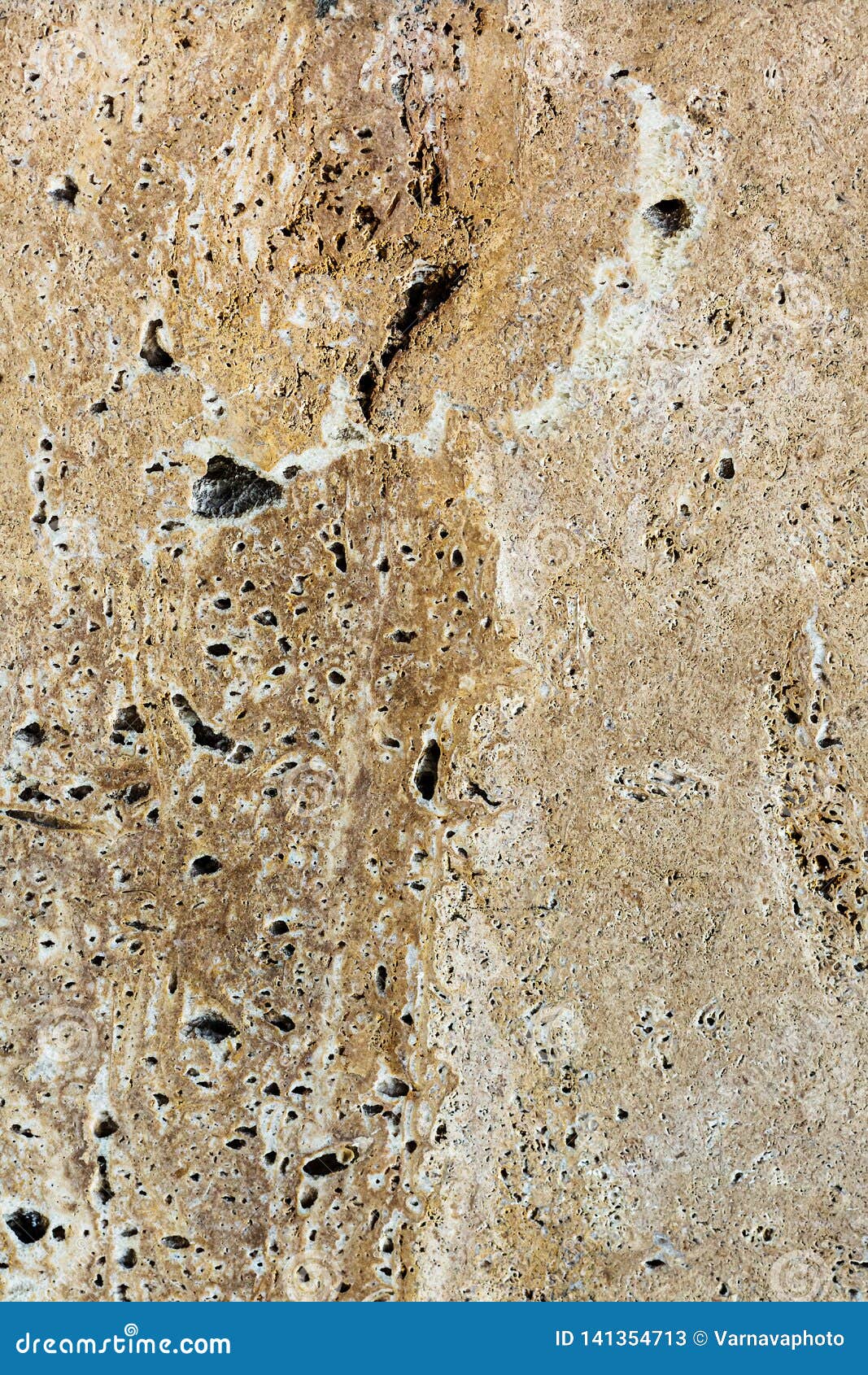 Real Natural Shell Stone. Shell Texture. Stock Image - Image of ...
