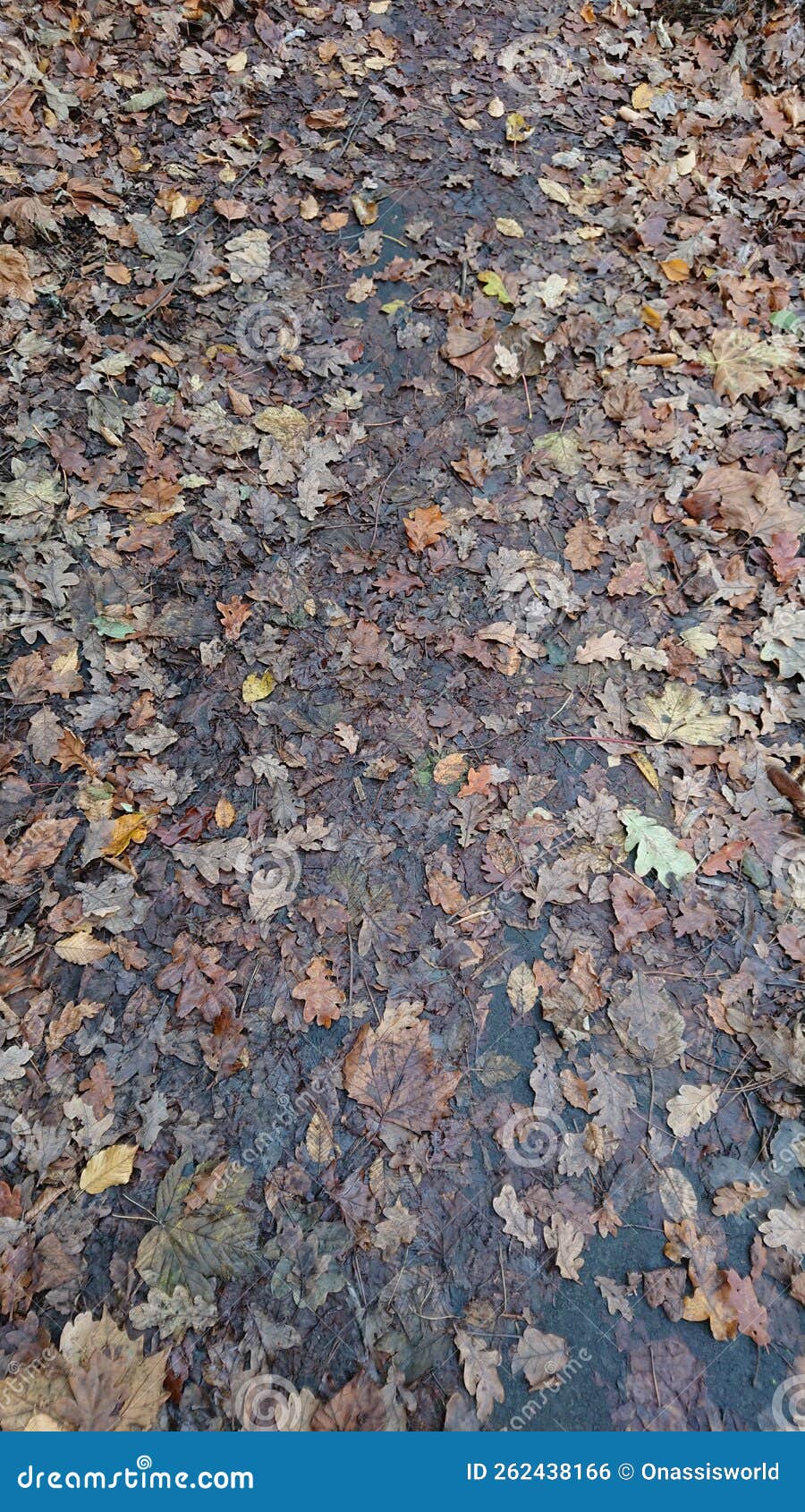 Real Nature Abstracts Backgrounds Stock Photo - Image of real, abstract ...