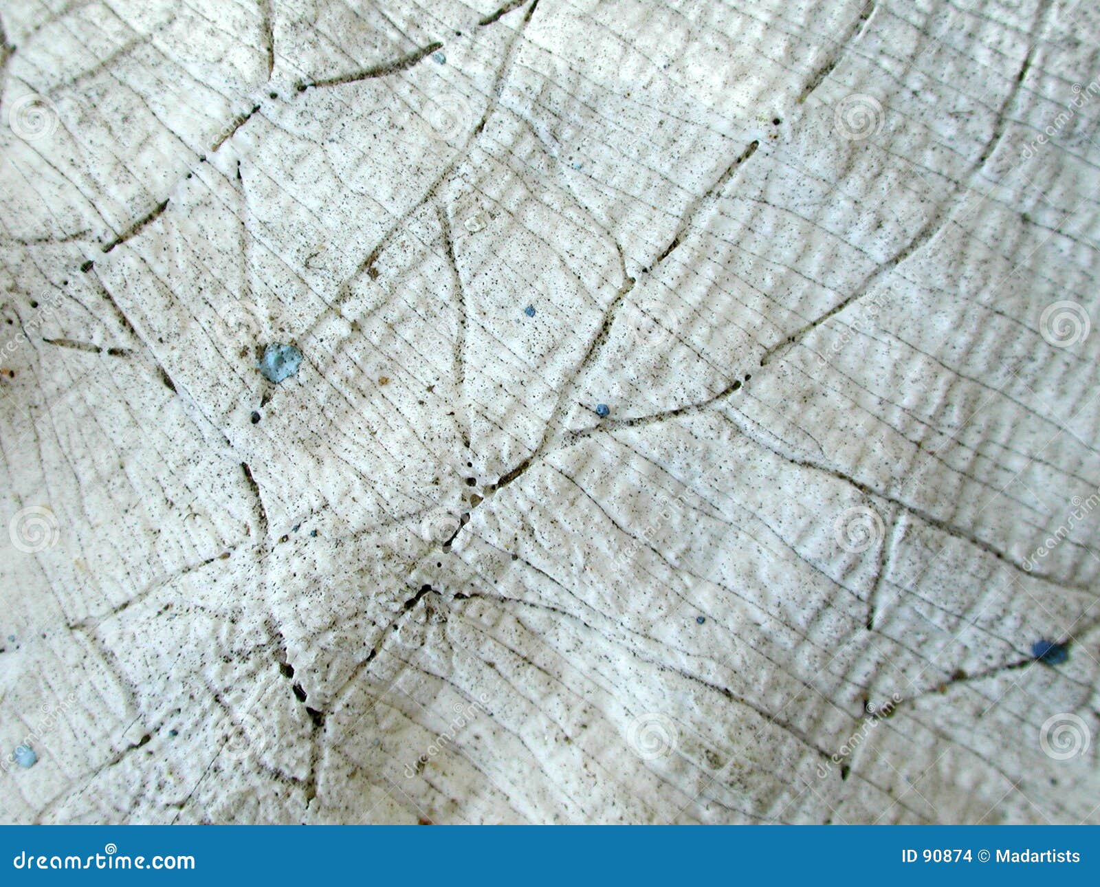Real Old Seashell Texture stock photo. Image of pattern - 90874