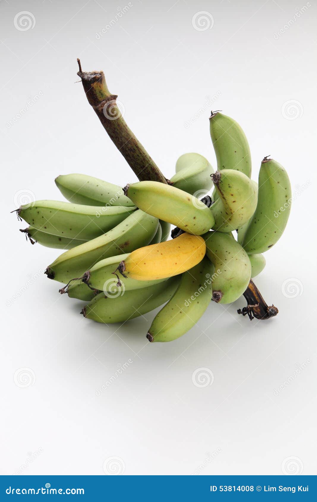 Real organic banana stock photo. Image of banana, bunch - 53814008